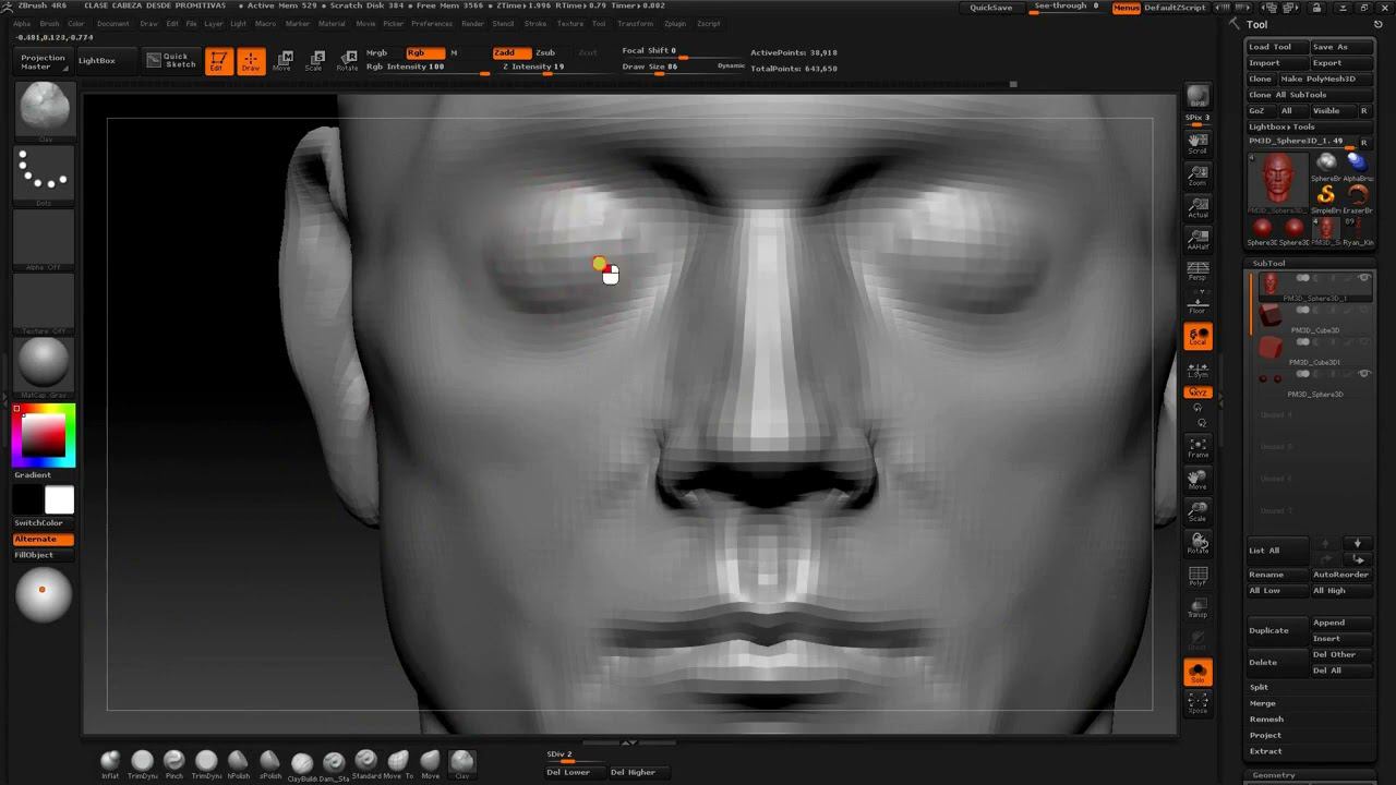 Anat Vol 02 13  General Features 2 5