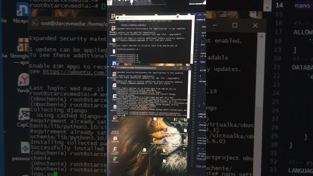 №11.3 Запуск Django 4.1 + Postgres 15, создание первого проекта и админинстратора для Админки