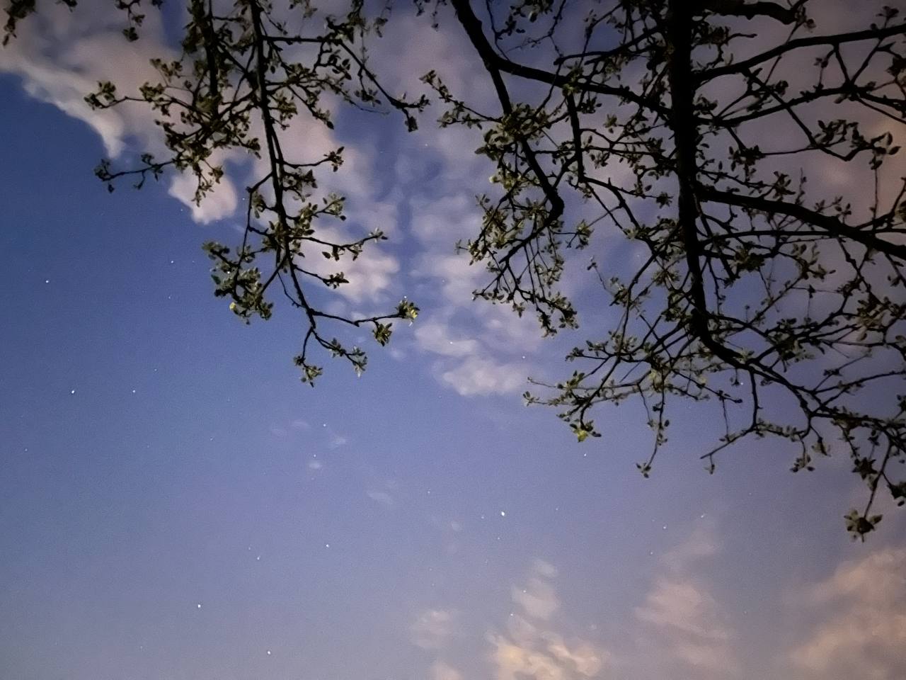 Яркие краски мая.