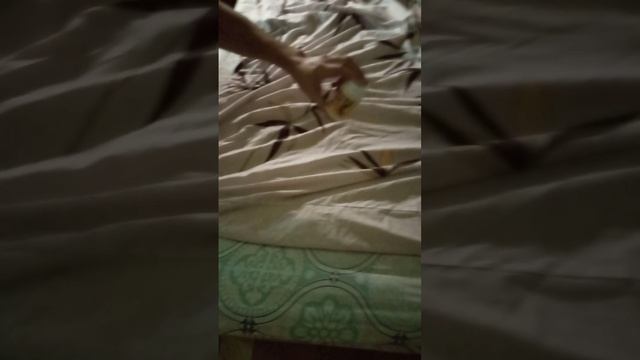 Кот любит Витаминки