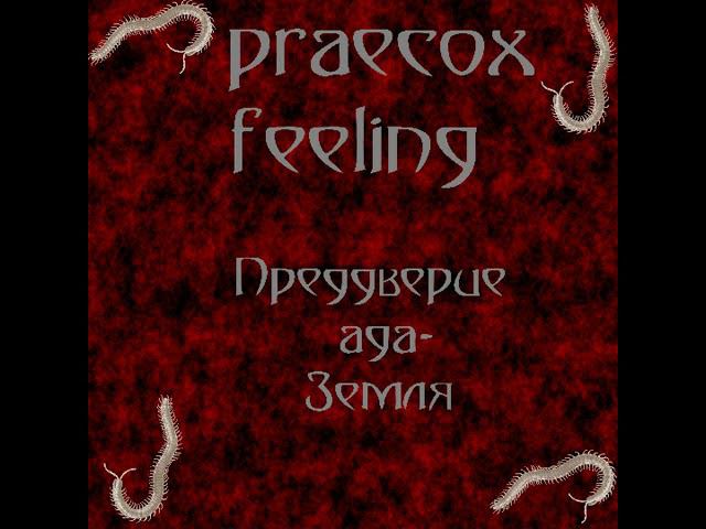 Praecox Feeling-Закон выживания