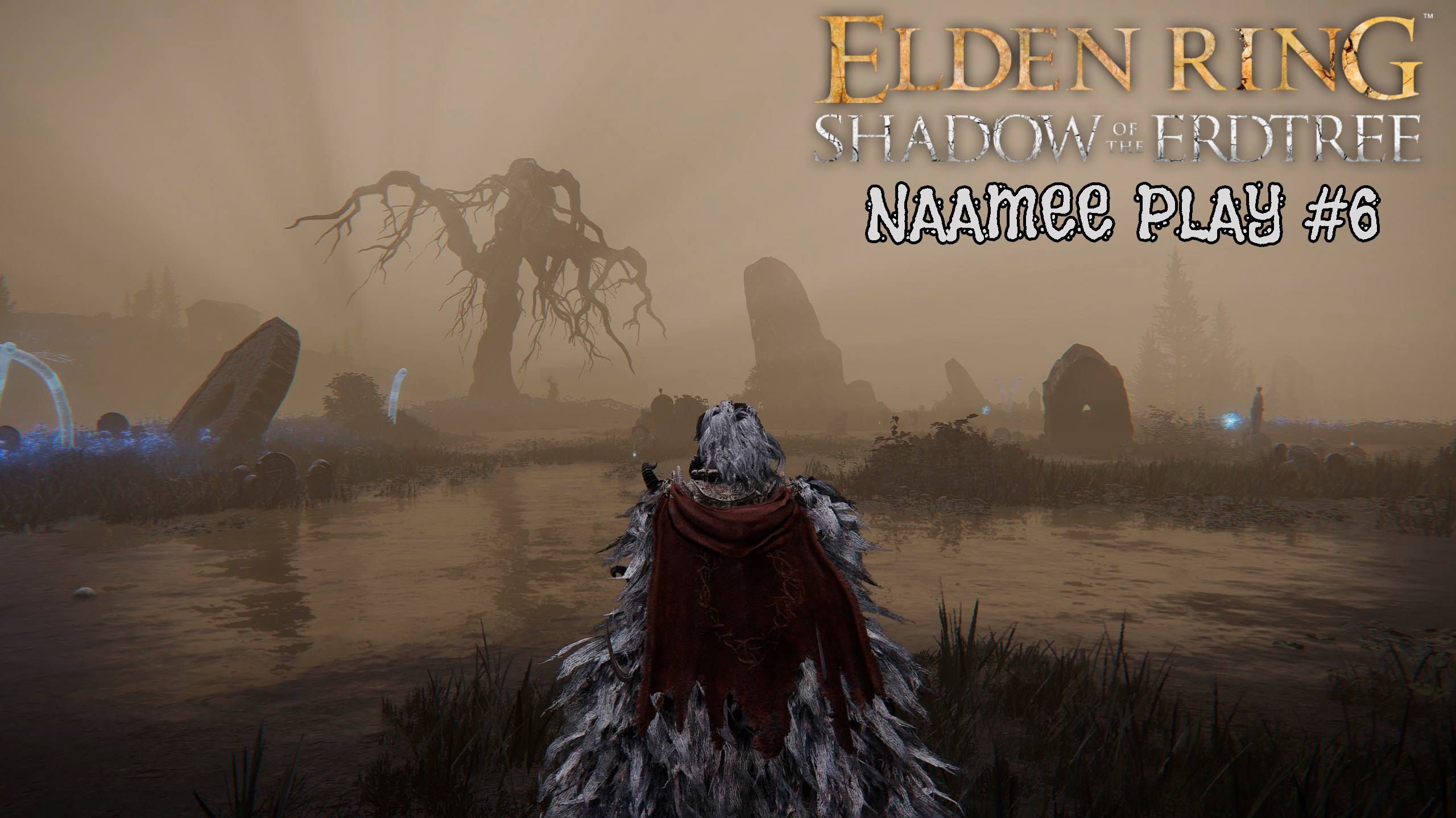 ELDEN RING Shadow of the Erdtree #6   Почти убийца драконов