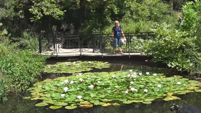 Крым. Фильм 15 Форосский парк.mp4