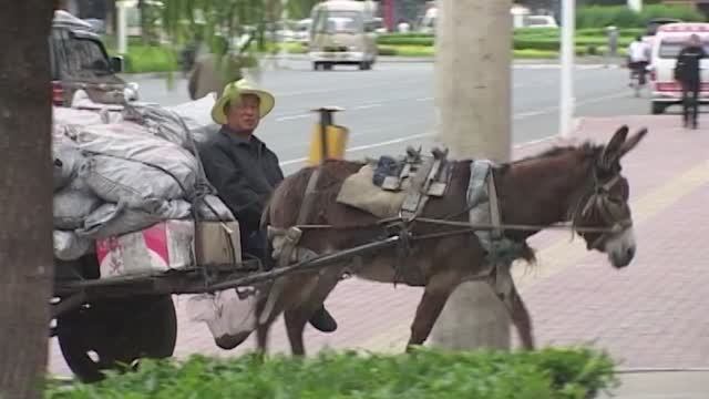 Китай, Хуньчунь - 2009 год.