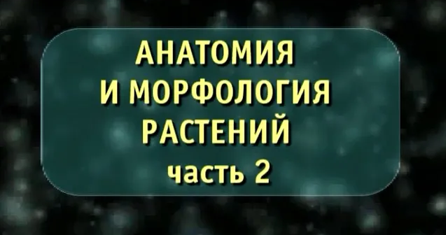 Анатомия и морфология растений. Часть 2. Побеги. Почка. Биология