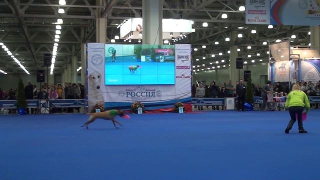 Показательные выступления Татьяна и Саранда-Айи