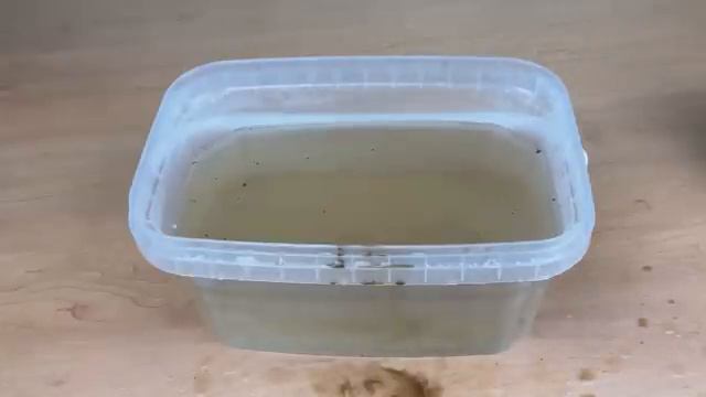 Как почистить и смазать варочный блок Saeco Philips Gaggia