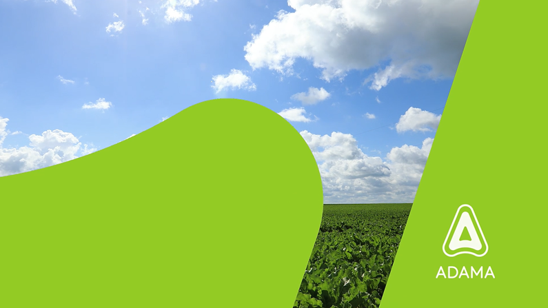 Линейка ГОЛТИКСОВ® - опыт Беларуси