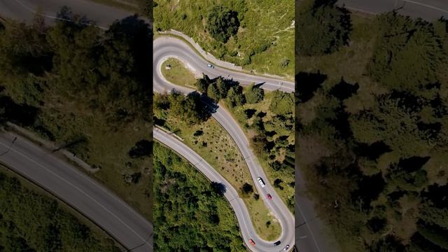 Тещин язык * Дорога в Сухум * Абхазия #Shorts