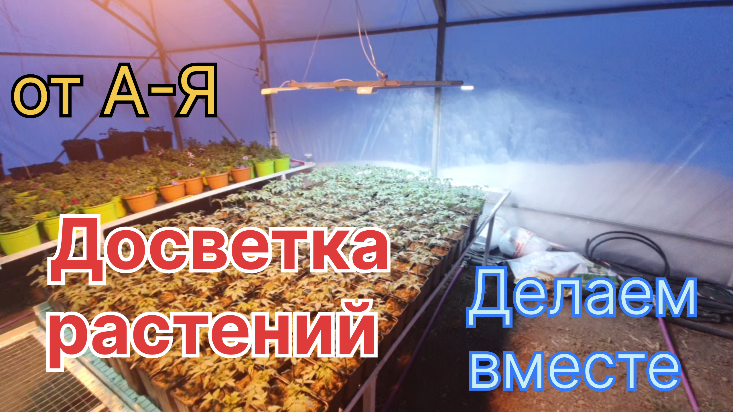 Досветка растений дома и в теплице