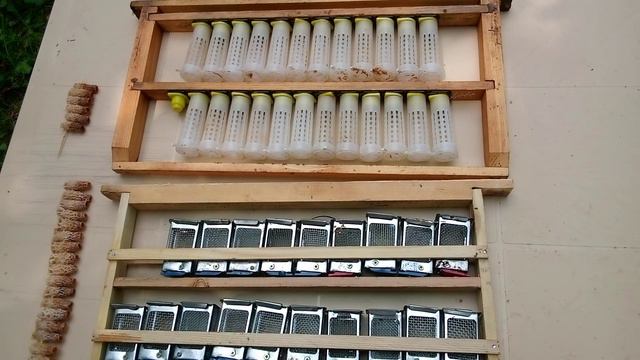 Простота и гениальность клеточки Титова