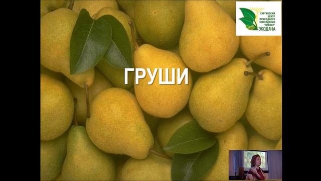 Плодовый сад. Часть 2. Яблони виды, сорта, уход