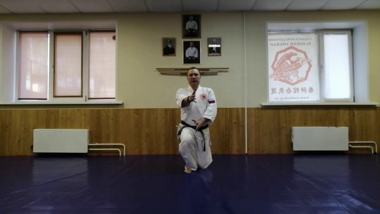 Сэйдза хо и распространённые ошибки. Видео 1