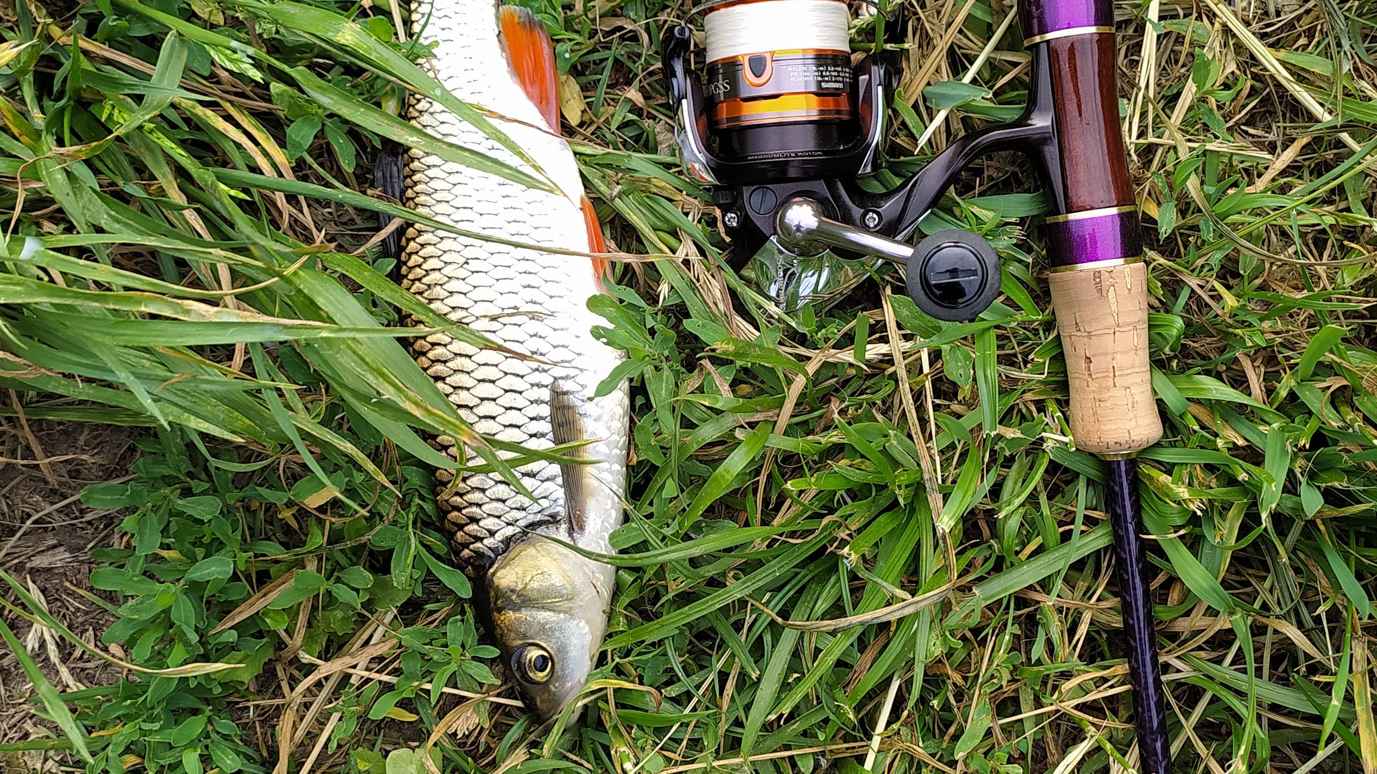 Открытие  СЕЗОНА ТАРАКАНИНГ 2024