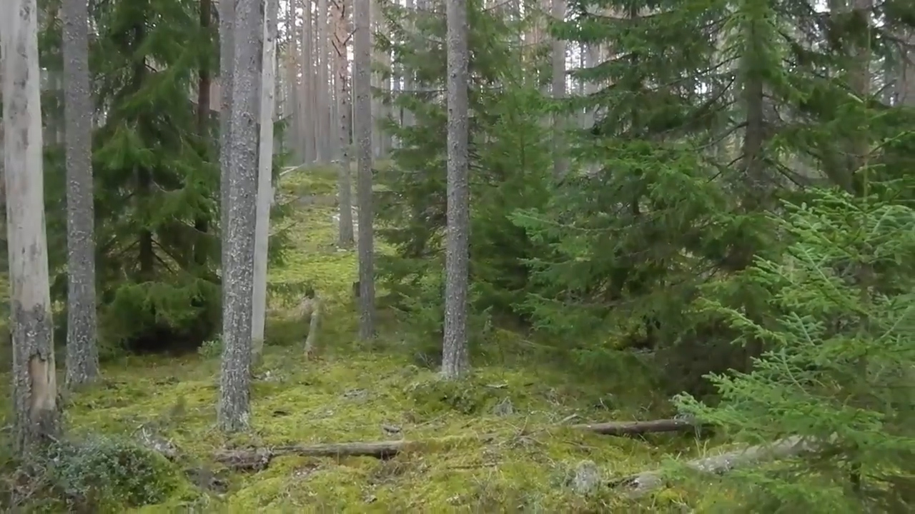 Вот Такой Ноябрь