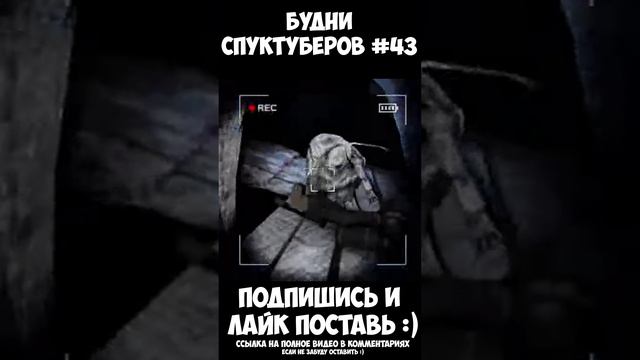 Будни спуктуберов #43 | Content Warning #contentwarning #gaming #игры #будни #games #game