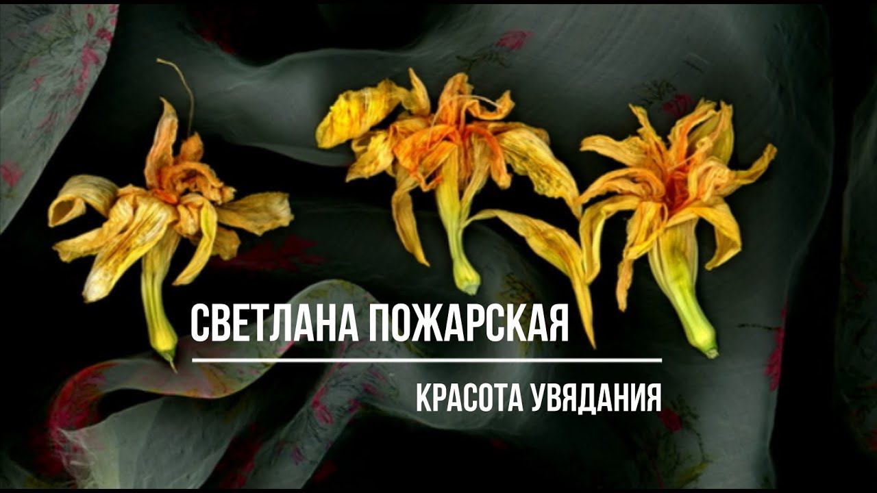 Светлана Пожарская. Красота увядания