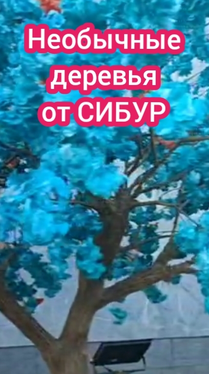 Необычные деревья от Сибур