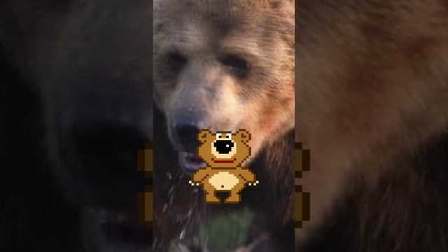 Мишкин стендап.Часть 4