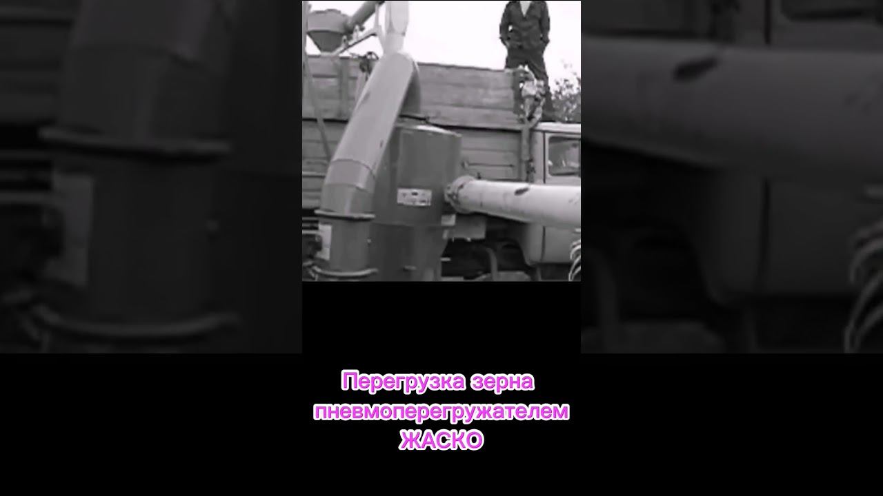 Перегрузка зерна пневмоперегружателем ЖАСКО