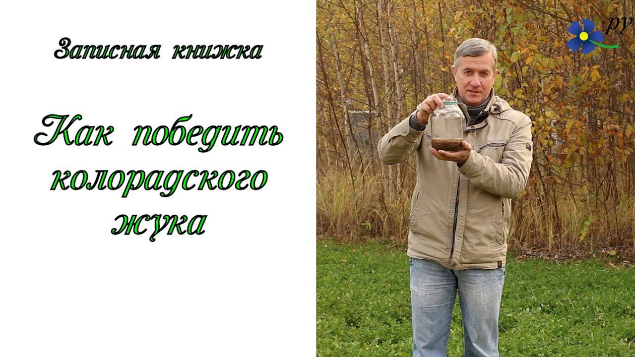 Средство от колорадского жука