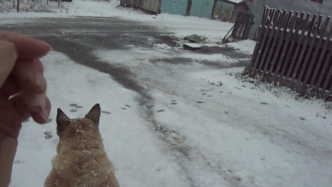 Май забыл, что он - весна...