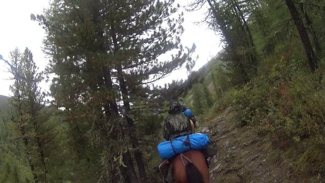 Шавлинский поход. Часть 3/5. Спуск на конях с Шавлинских озёр к Оройскому перевалу и плато Ештыкол.