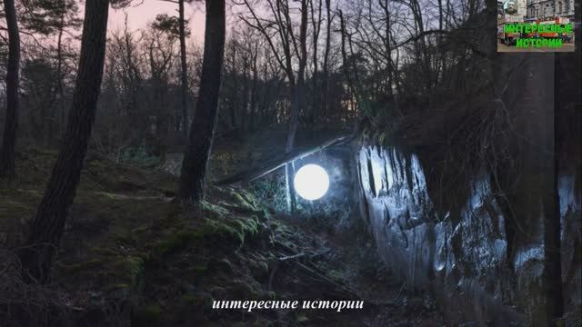 Самые таинственные места России. Почему там погибают люди и животные