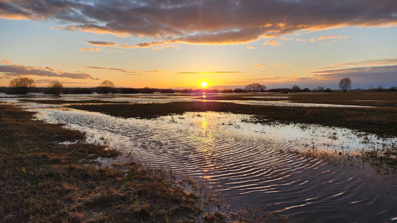 Дачный домик с новыми окнами! Странные дыры на участке! Слушаем пение птиц на даче.