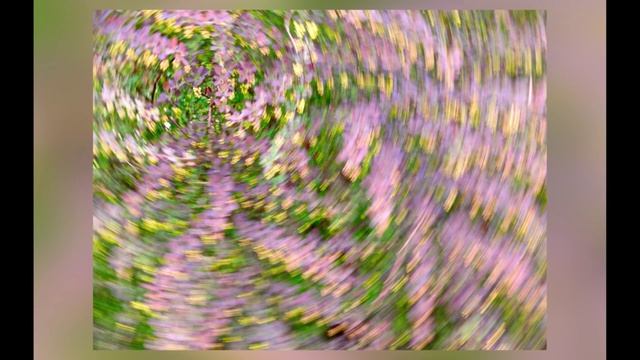 Видеоэкскурсия Лето Под Ногами часть 2