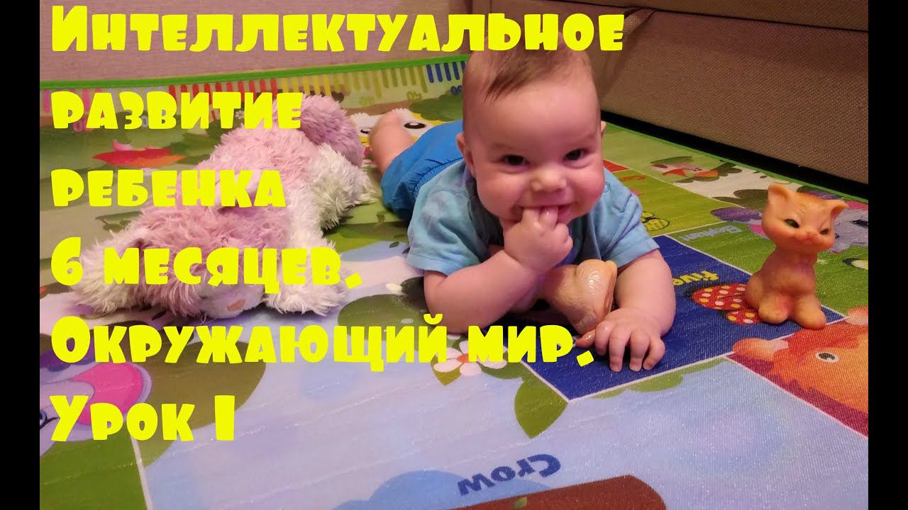Интеллектуальное развитие ребенка 6 месяцев. Окружающий мир. Урок 1