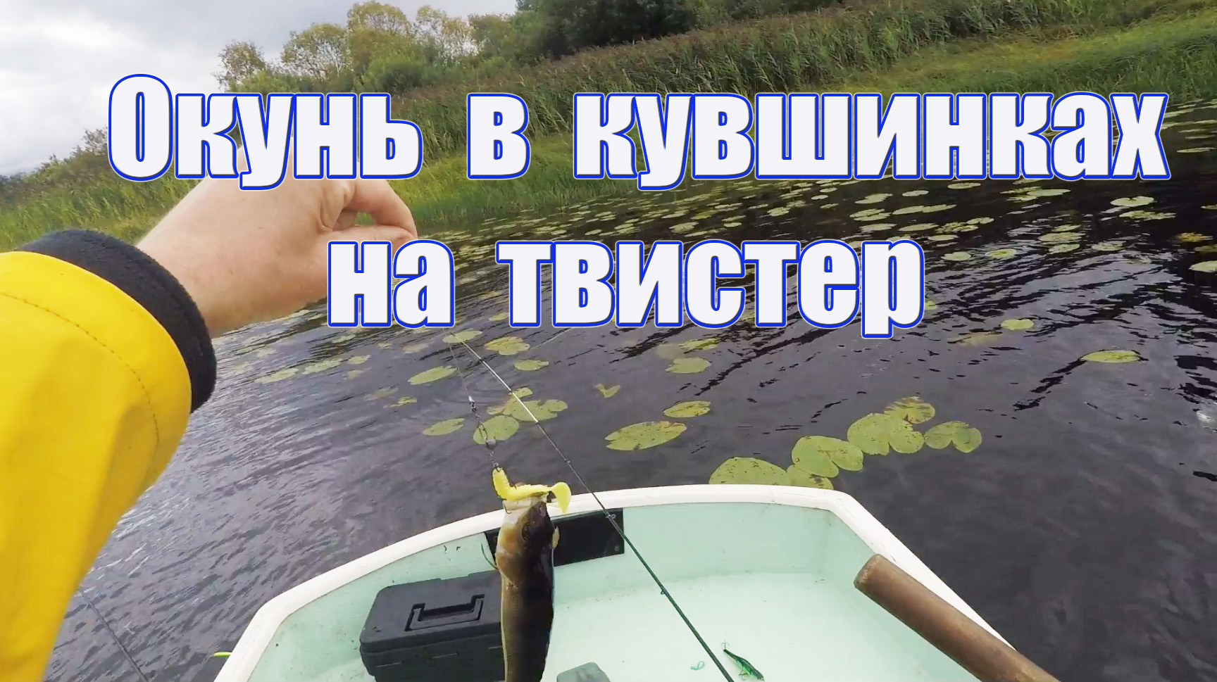 Ловля окуня на твистер в береговых кувшинках с лодки