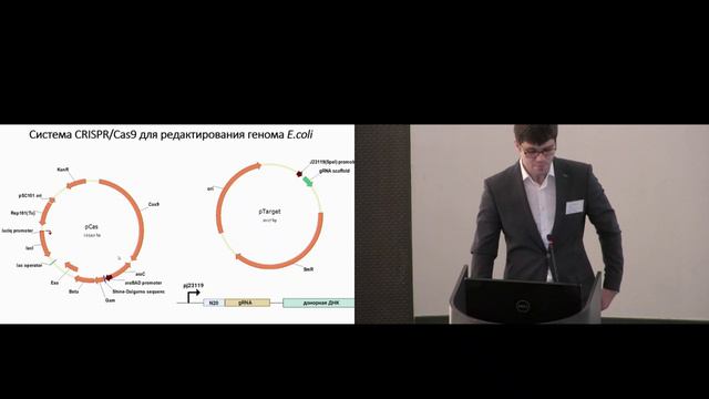 8.CRISPRcas9 опосредованная модификация путей биосинтеза липополисахаридов у E. coli для получения п