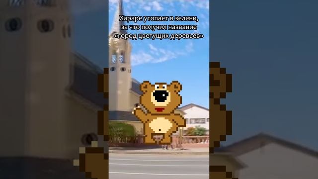 Мишка и Хараре