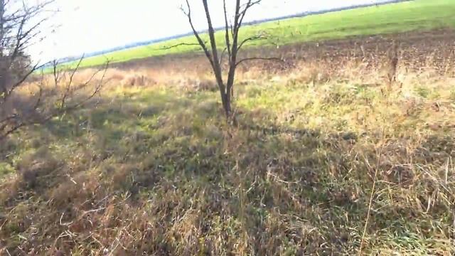 Долгожданное открытие на зайца, 2021-2022  Ростовская обл..mp4