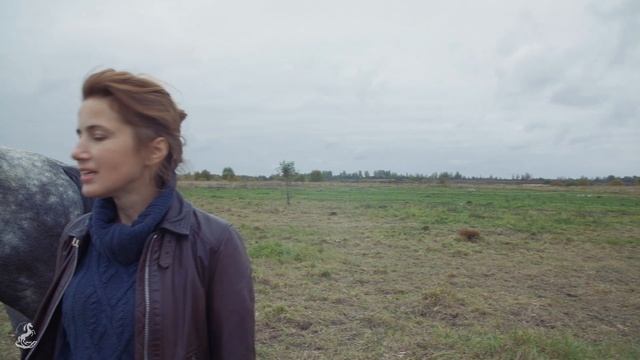 Занятие с лошадью на свободе. Минифильм