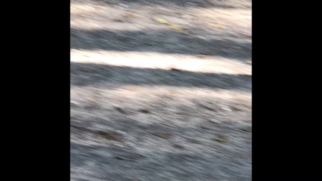 Старославянские приметы. Часть 2 ноябрь