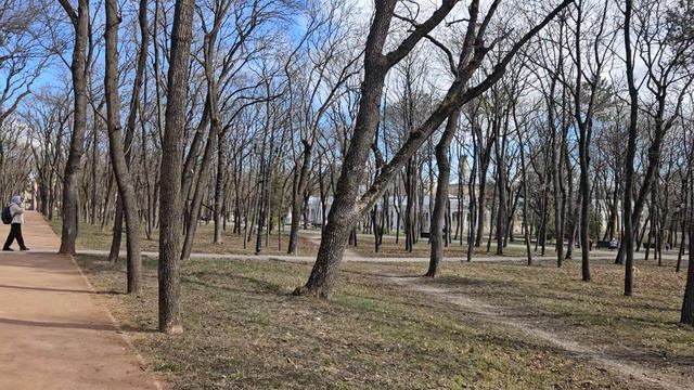 Курортный парк город Ессентуки, прогулка по парку.