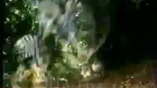 ?  Реклама 1995 _ жвачка Бумер _ Boomer Bubble Gum.mp4