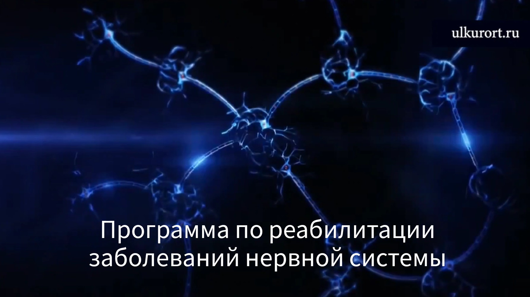 Нервная система