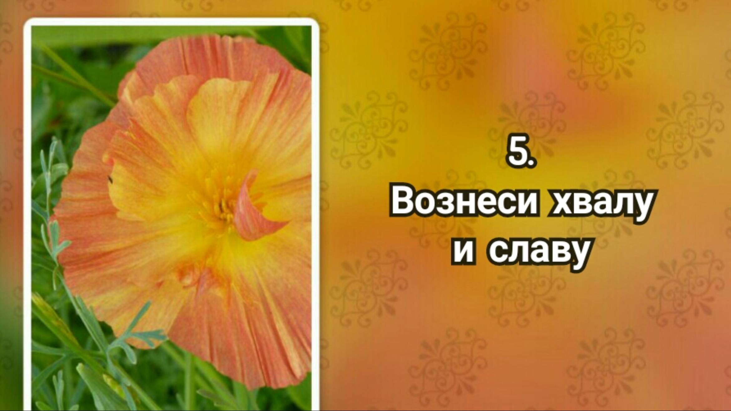 Гимны надежды 5 Вознеси хвалу и славу (-)