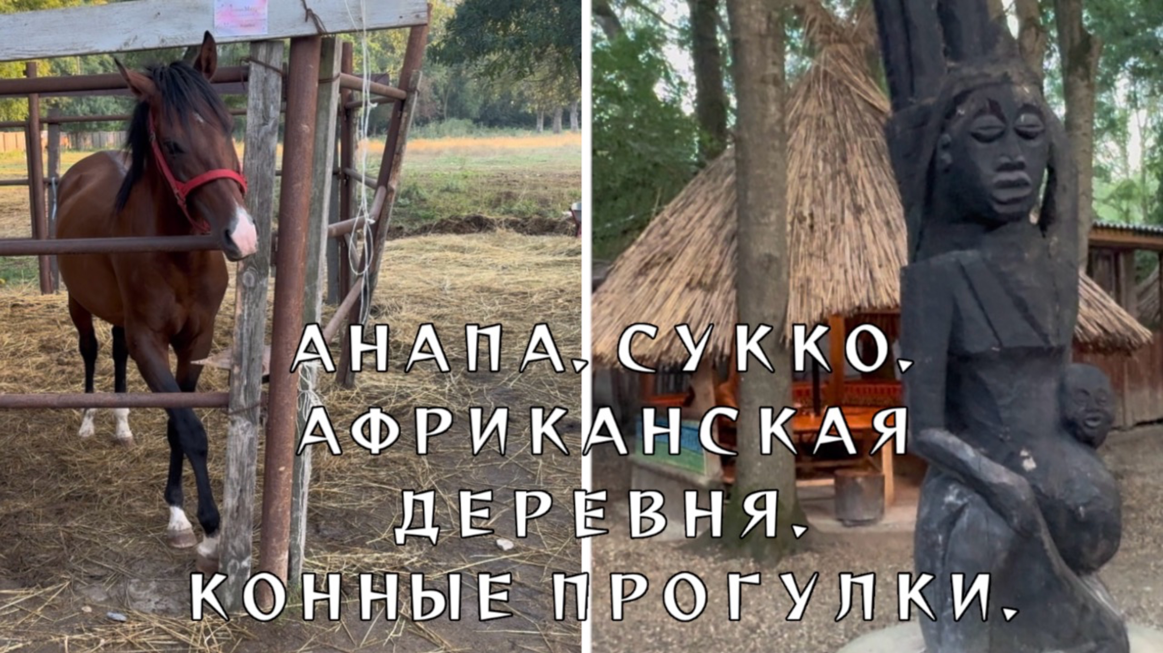 ВЛОГ. ПОШЛИ В СТОРОНУ КИПАРИСОВОГО ОЗЕРА. НАШЛИ АФРИКАНСКУЮ ДЕРЕВНЮ И МНОГО ЛОШАДЕЙ. СУККО.
