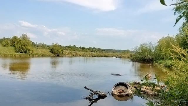 Братан Тунгуска по мелкому