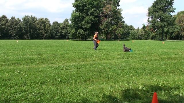 Кубок Клуба 2017 Елена и Мышь.mp4