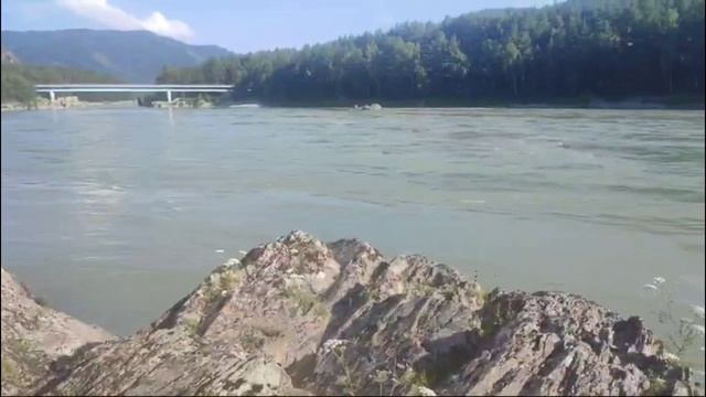 Горная река Катунь