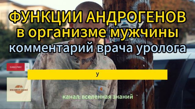 Функции андрогенов в организме мужчины. Комментарий врача уролога.