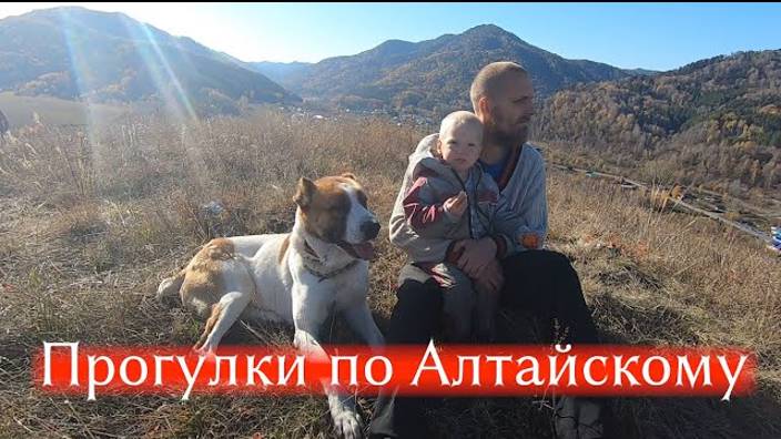 ОСЕННИЕ ПРОГУЛКИ ПО СЕЛУ АЛТАЙСКОМУ