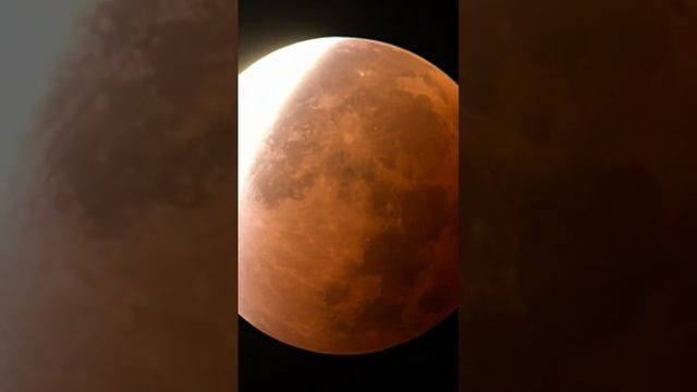 Видеообои "Планета"