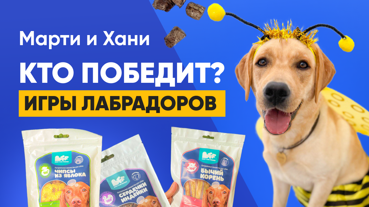 ИГРЫ ЗА ЛАКОМСТВА / НОУЗВОРК / ПРЫЖКИ / BFF / КТО ПОБЕДИТ?