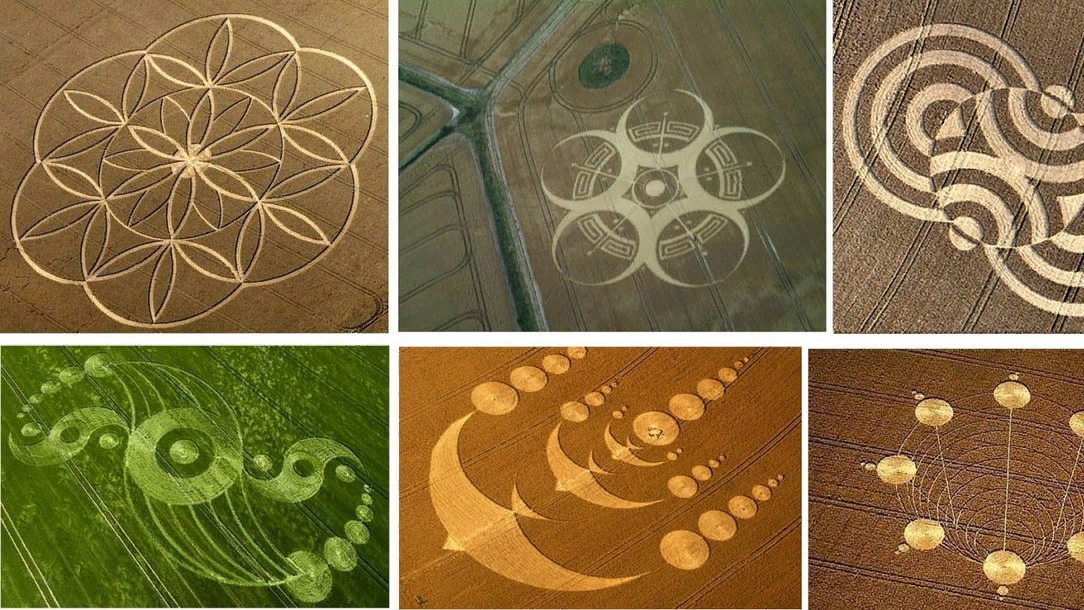 Тайна кругов на полях